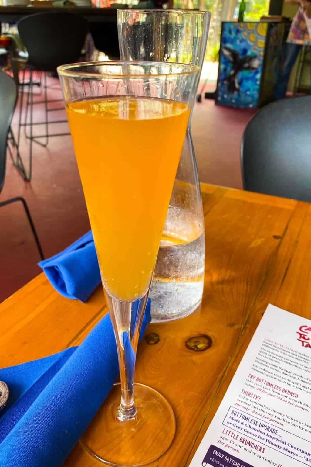 Cafe Tu Tu Tango Orlando Brunch Review: Small Plates, Big Vibes