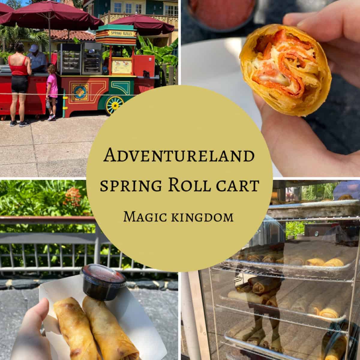 Adventureland Spring Roll Cart | Disney's Magic Kingdom - Must Love Garlic