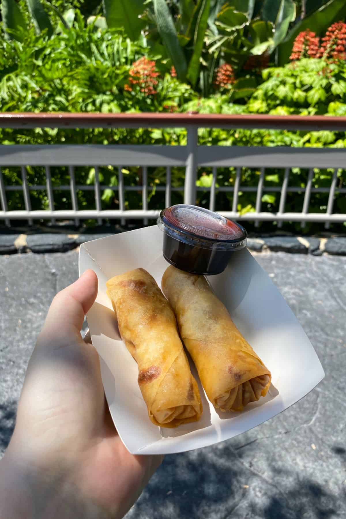 Adventureland Spring Roll Cart | Disney's Magic Kingdom - Must Love Garlic